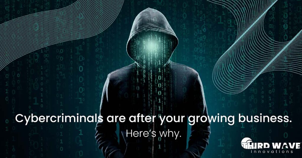 3 Reasons Why Cybersecurity Threats Target Small Businesses | Third ...